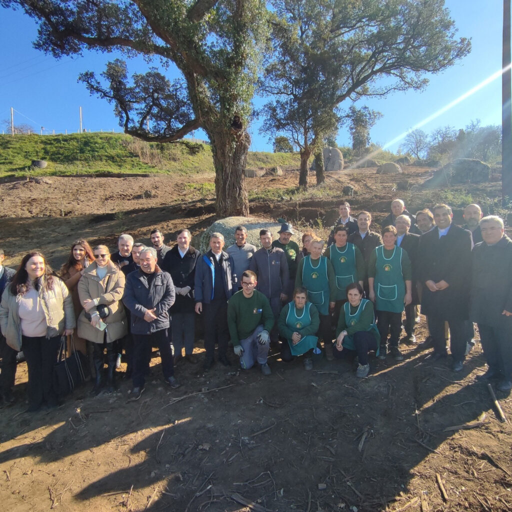 Reflorestação da Bouça do Souto – Confraria do Bom Jesus do Monte